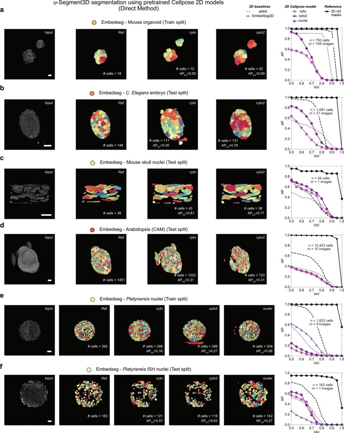 Universal consensus 3D segmentation of cells from 2D segmented stacks | Nature Methods