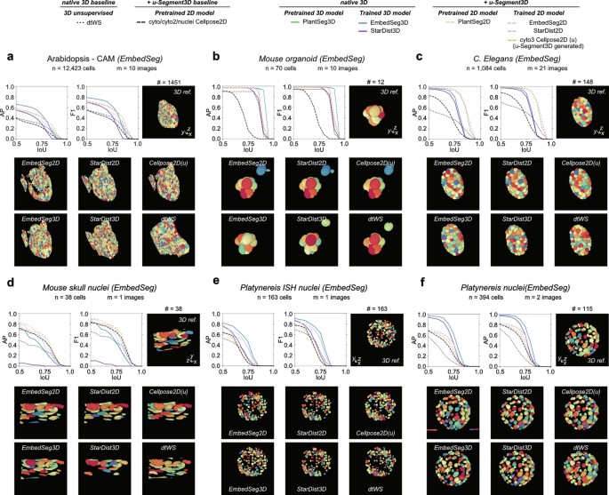 Universal consensus 3D segmentation of cells from 2D segmented stacks ...