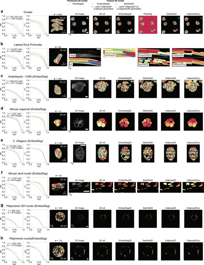 Universal consensus 3D segmentation of cells from 2D segmented stacks ...