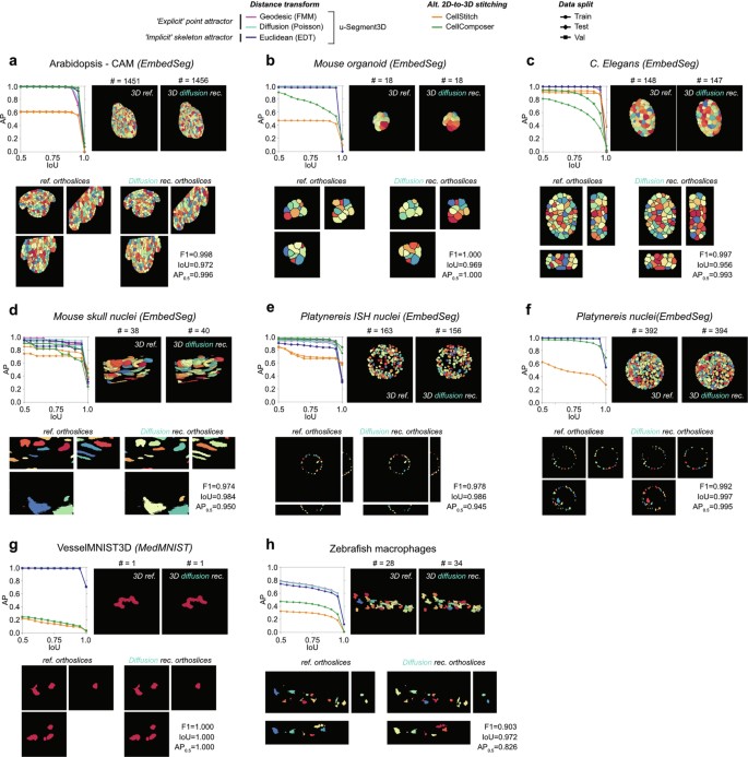 Universal consensus 3D segmentation of cells from 2D segmented stacks ...