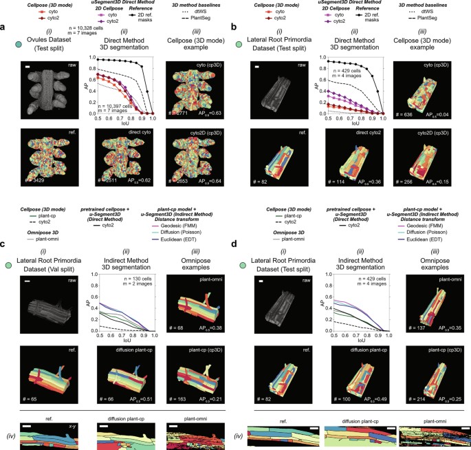Universal consensus 3D segmentation of cells from 2D segmented stacks ...