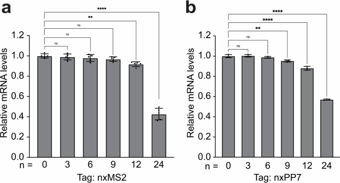 Orthogonal RNA-regulated destabilization domains for three-color RNA ...