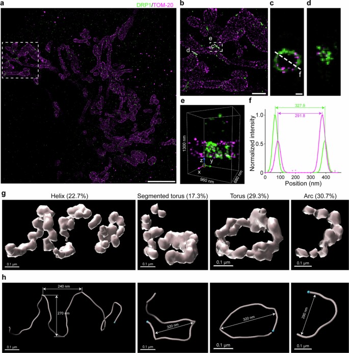 Molecular-scale isotropic 3D super-resolution microscopy via ...