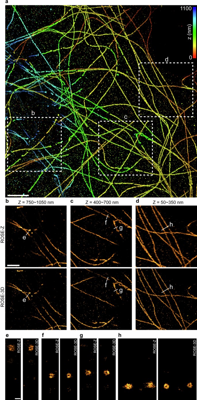 Molecular-scale isotropic 3D super-resolution microscopy via ...