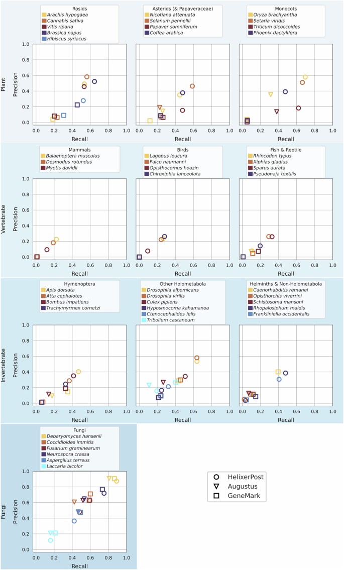 Helixer: ab initio prediction of primary eukaryotic gene models ...