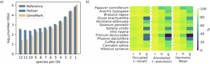 Helixer: ab initio prediction of primary eukaryotic gene models ...