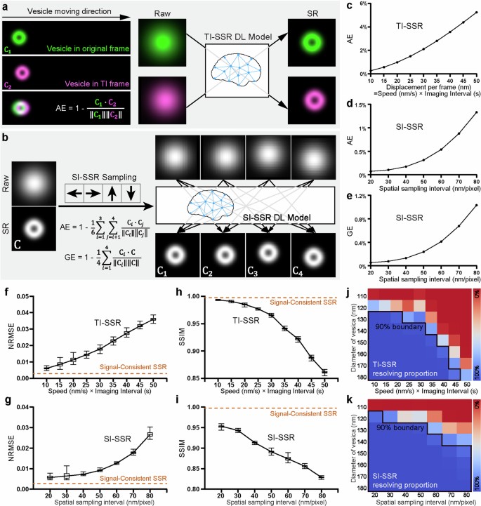Bio-friendly and high-precision super-resolution imaging through self ...