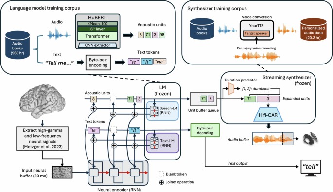 A streaming brain-to-voice neuroprosthesis to restore naturalistic ...