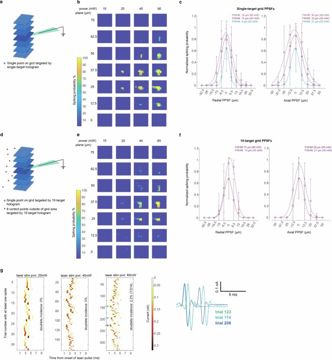 Rapid learning of neural circuitry from holographic ensemble ...