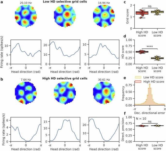 Grid cells accurately track movement during path integration-based ...