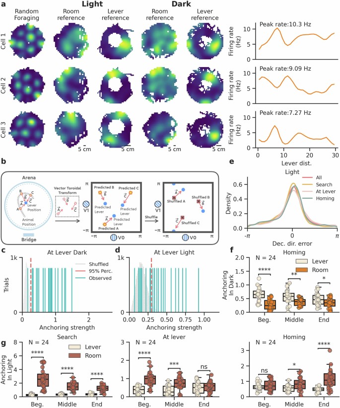 Grid cells accurately track movement during path integration-based ...