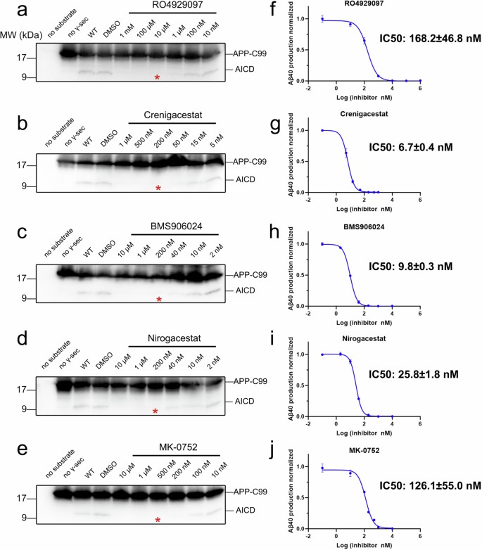Structural basis of human γ-secretase inhibition by anticancer clinical ...