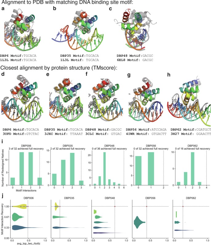 Computational design of sequence-specific DNA-binding proteins | Nature ...
