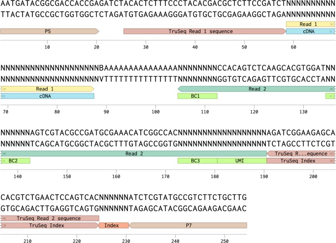 High-throughput single-cell transcriptomics of bacteria using combinatorial barcoding | Nature ...