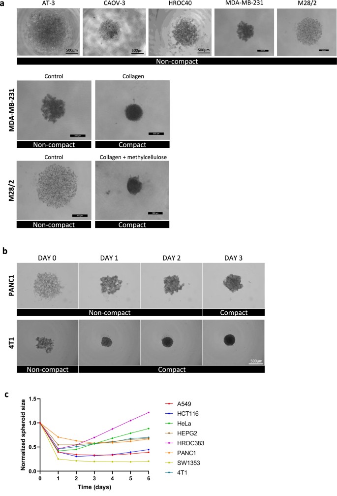 Sequential orthogonal assays for longitudinal and endpoint ...