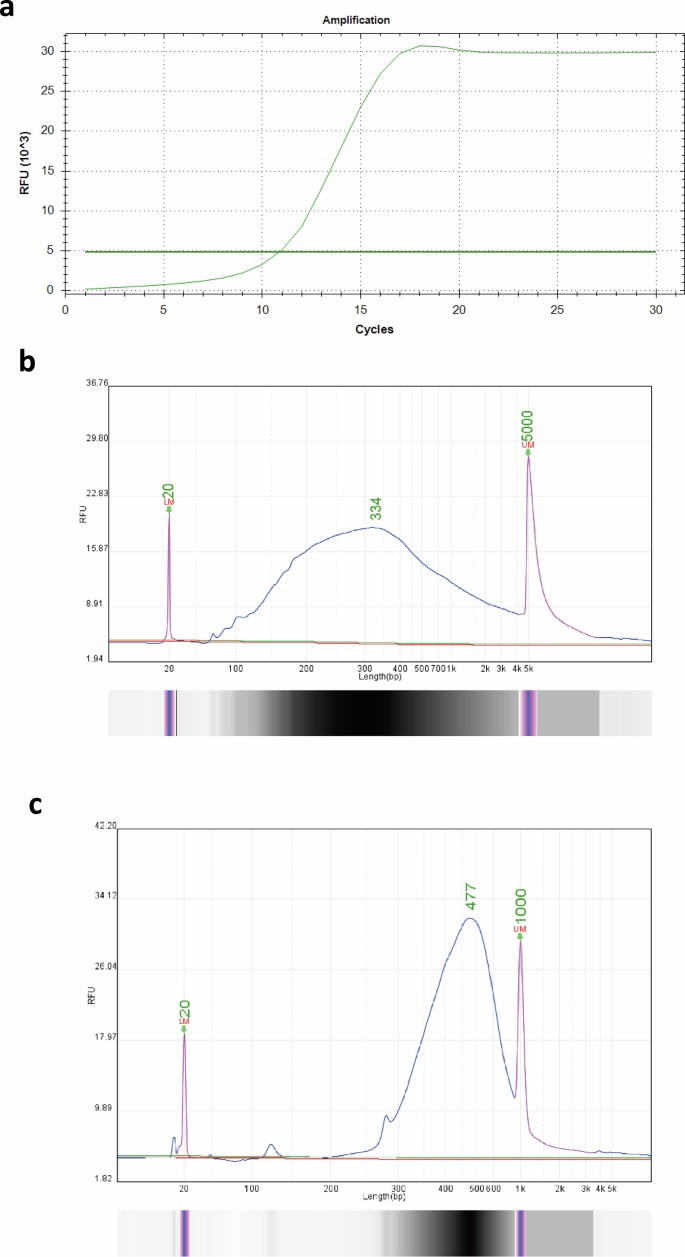 Single-nucleus total RNA sequencing of formalin-fixed paraffin-embedded samples using snRandom ...