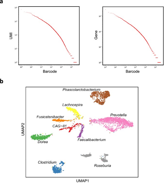 Single microorganism RNA sequencing of microbiomes using smRandom-Seq | Nature Protocols