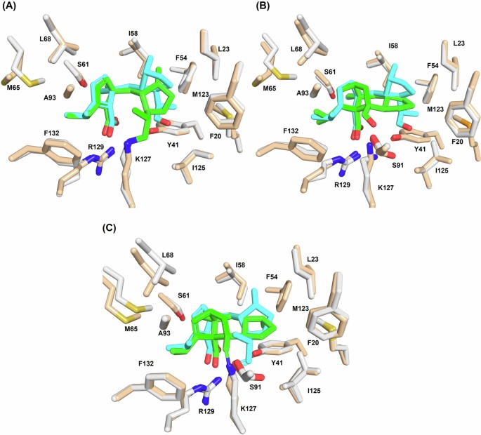 Iminium catalysis in natural Diels–Alderase | Nature Catalysis