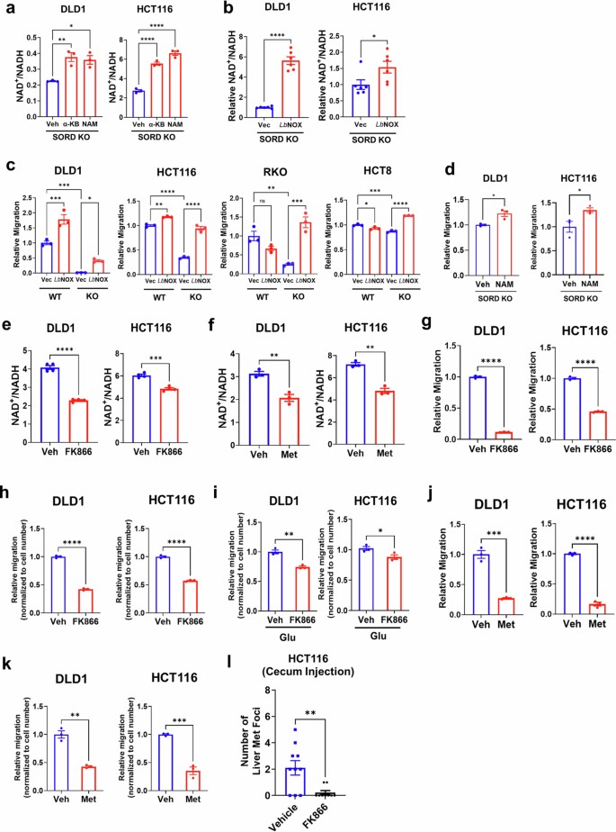 Fructose and glucose from sugary drinks enhance colorectal cancer ...