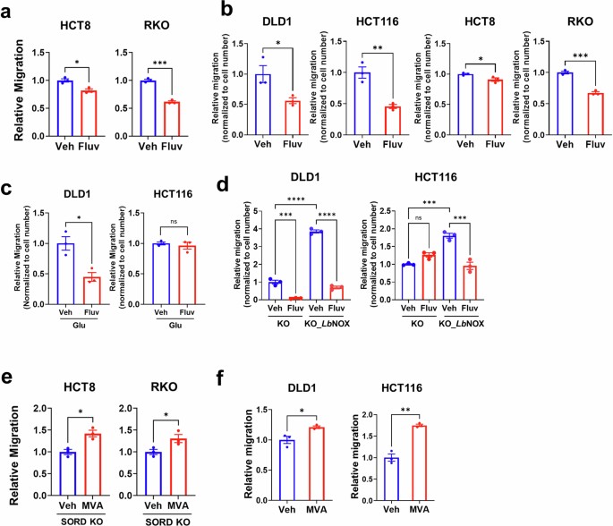 Fructose and glucose from sugary drinks enhance colorectal cancer ...