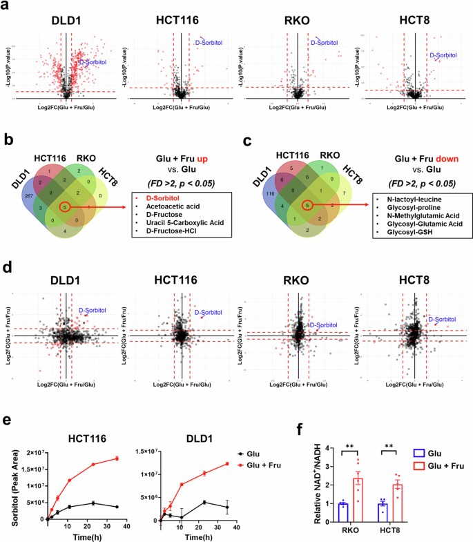 Fructose and glucose from sugary drinks enhance colorectal cancer ...