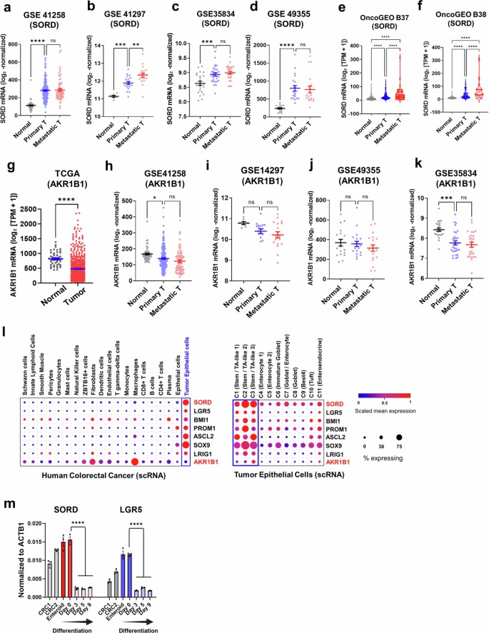 Fructose and glucose from sugary drinks enhance colorectal cancer ...