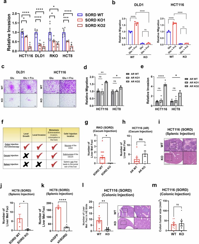 Fructose and glucose from sugary drinks enhance colorectal cancer ...