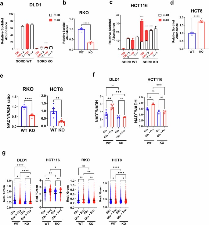 Fructose and glucose from sugary drinks enhance colorectal cancer ...