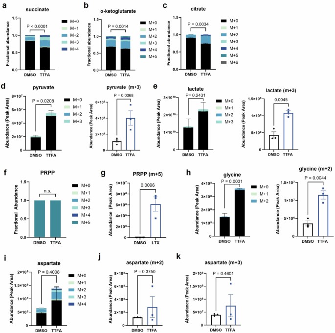 Pathway coessentiality mapping reveals complex II is required for de ...