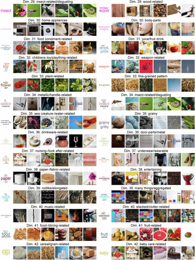 Human-like object concept representations emerge naturally in ...