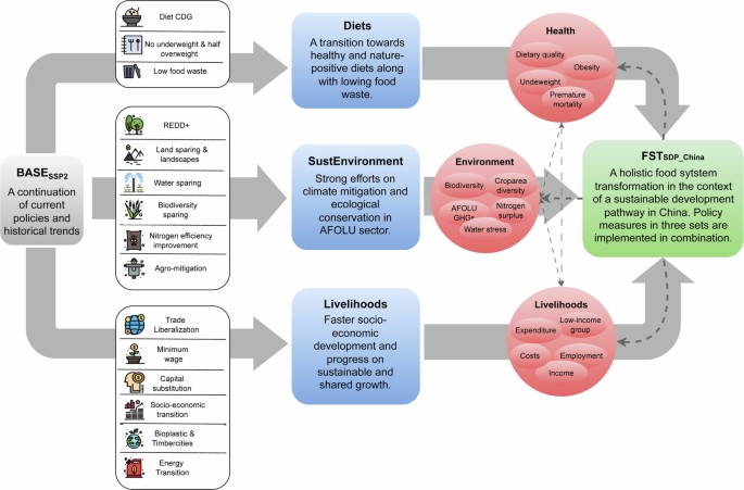 Bundled measures for China’s food system transformation reveal social ...