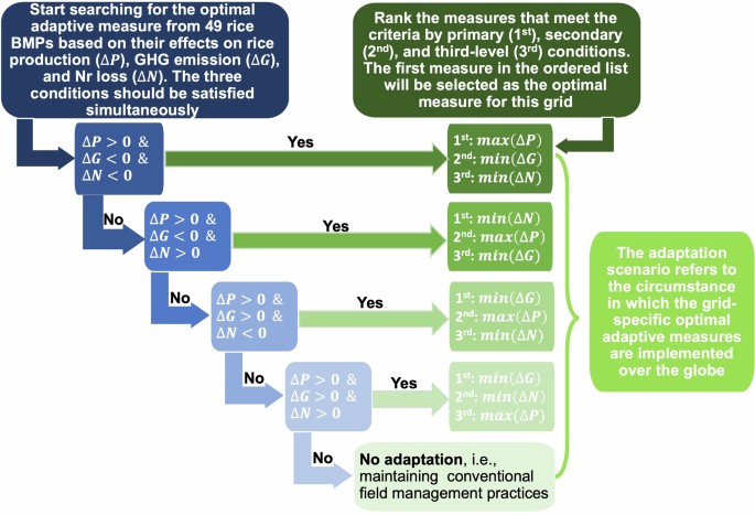 Cost-effective adaptations increase rice production while reducing ...