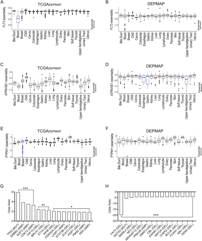 Building a translational cancer dependency map for The Cancer Genome ...