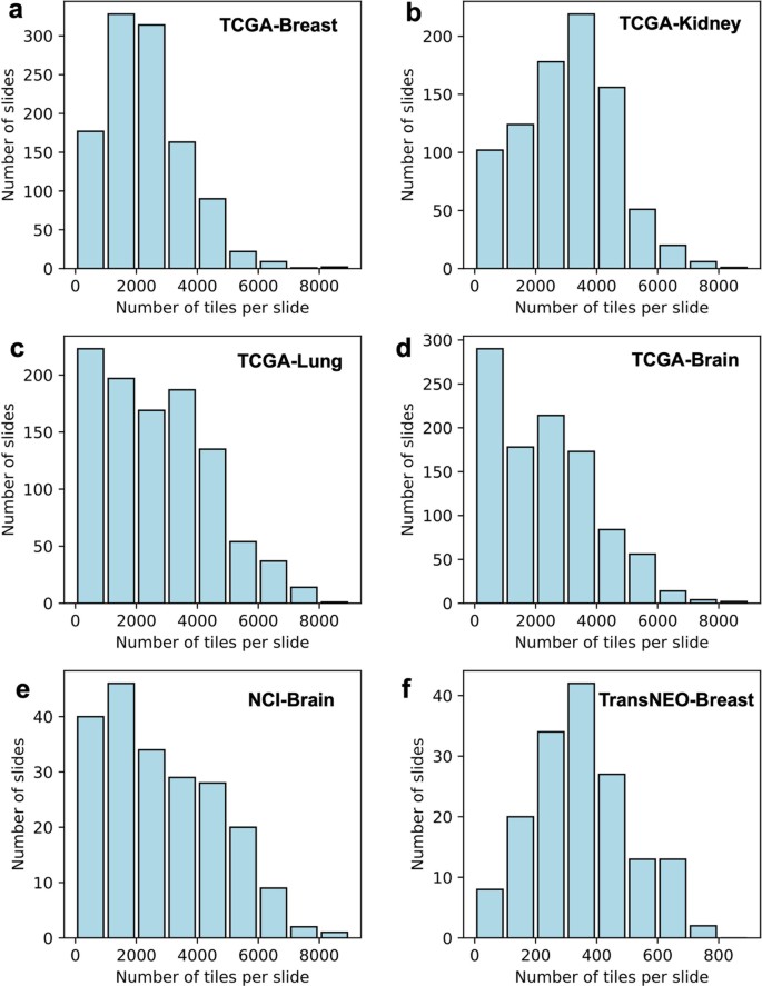 A deep-learning framework to predict cancer treatment response from ...