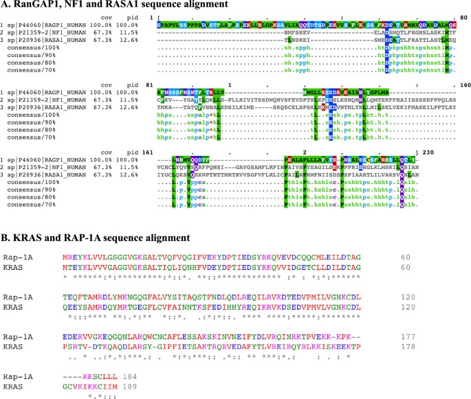 The pro-oncogenic noncanonical activity of a RAS•GTP:RanGAP1 complex ...