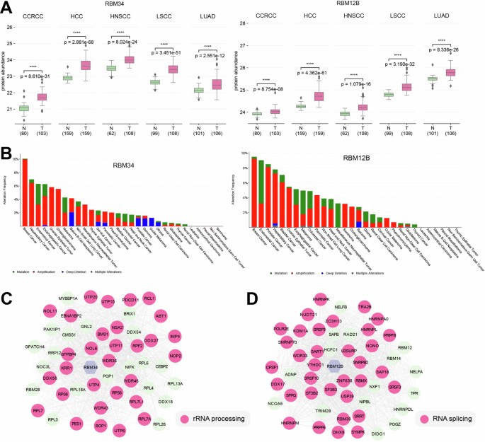 Mapping the functional network of human cancer through machine learning ...