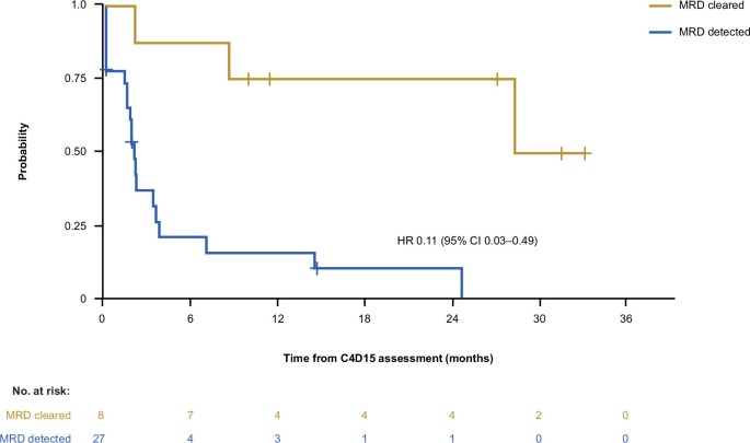 Odronextamab monotherapy in patients with relapsed/refractory diffuse ...