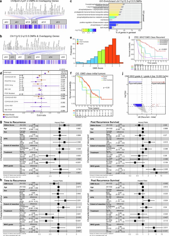 Evolutionary trajectories of IDH-mutant astrocytoma identify molecular ...