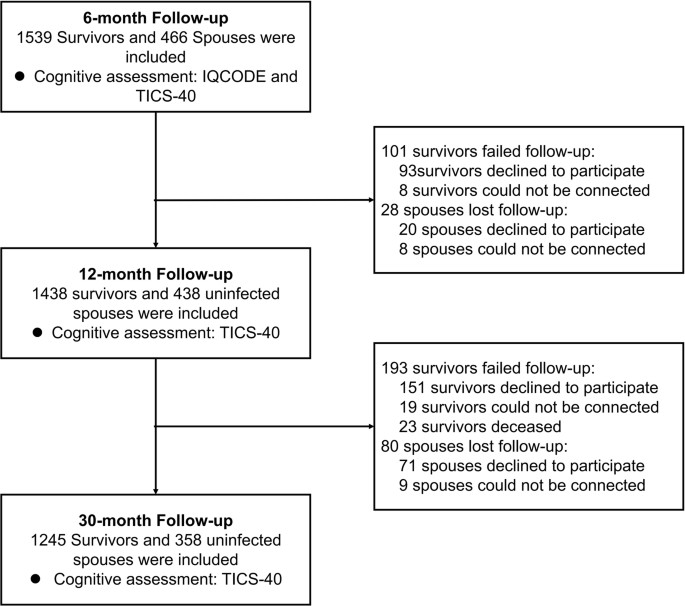Tracking cognitive trajectories in older survivors of COVID-19 up to 2. ...