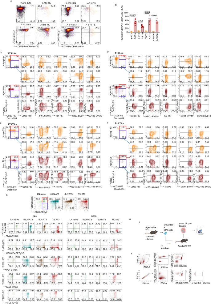 A distinct population of CD8+ T cells expressing CD39 and CD73 ...