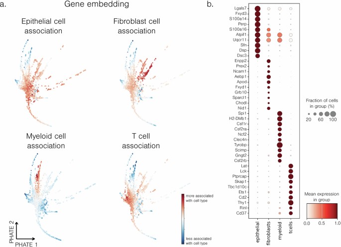 Mapping the gene space at single-cell resolution with gene signal ...