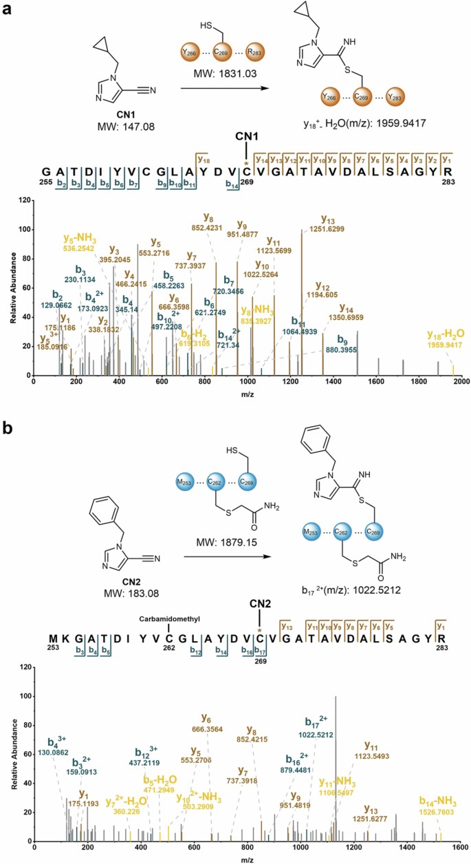 Pharmacophore-oriented 3D molecular generation toward efficient feature ...