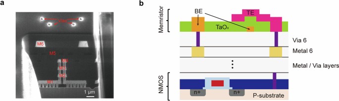 Real-time raw signal genomic analysis using fully integrated memristor ...