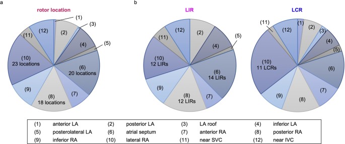Assessing the arrhythmogenic propensity of fibrotic substrate using digital twins to inform a ...