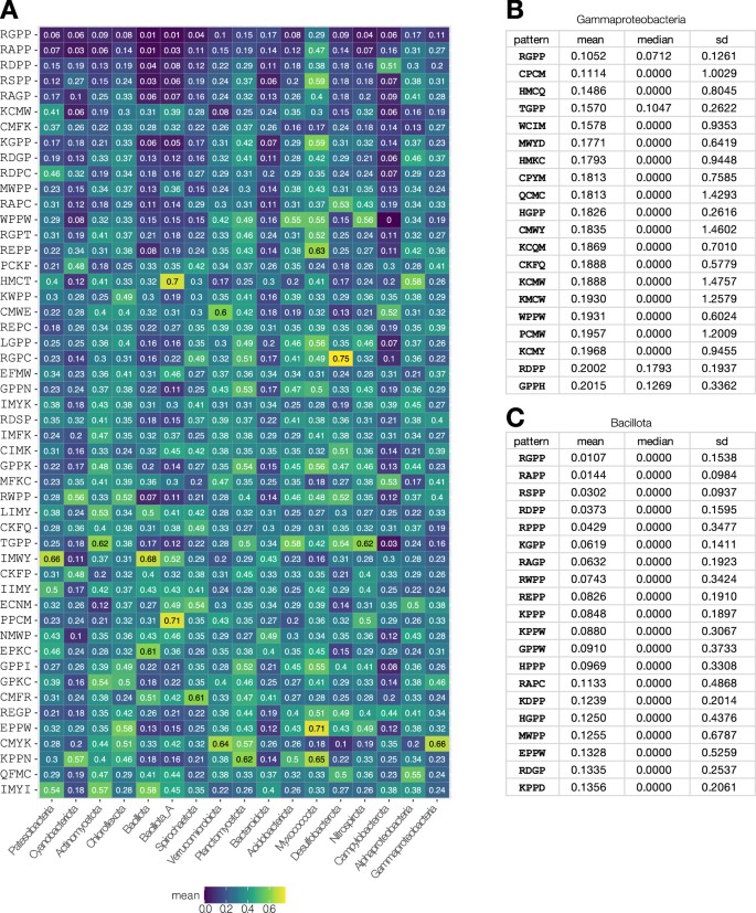 Evolutionary adaptation of bacterial proteomes to translation-impeding ...