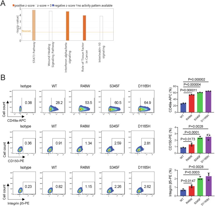 Hyperactive PLCG1 induces cell-autonomous and bystander T cell ...