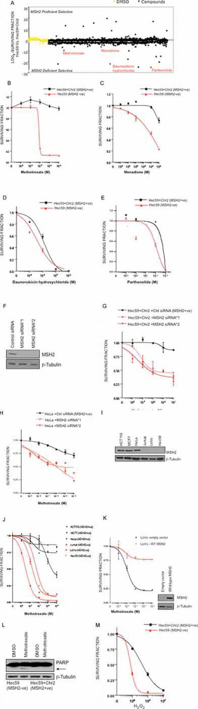 Methotrexate induces oxidative DNA damage and is selectively lethal to ...