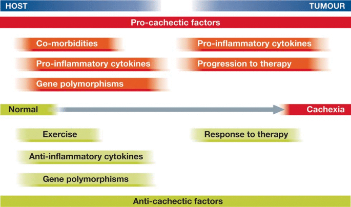 Selecting for predisposition to cancer cachexia | EMBO Molecular ...