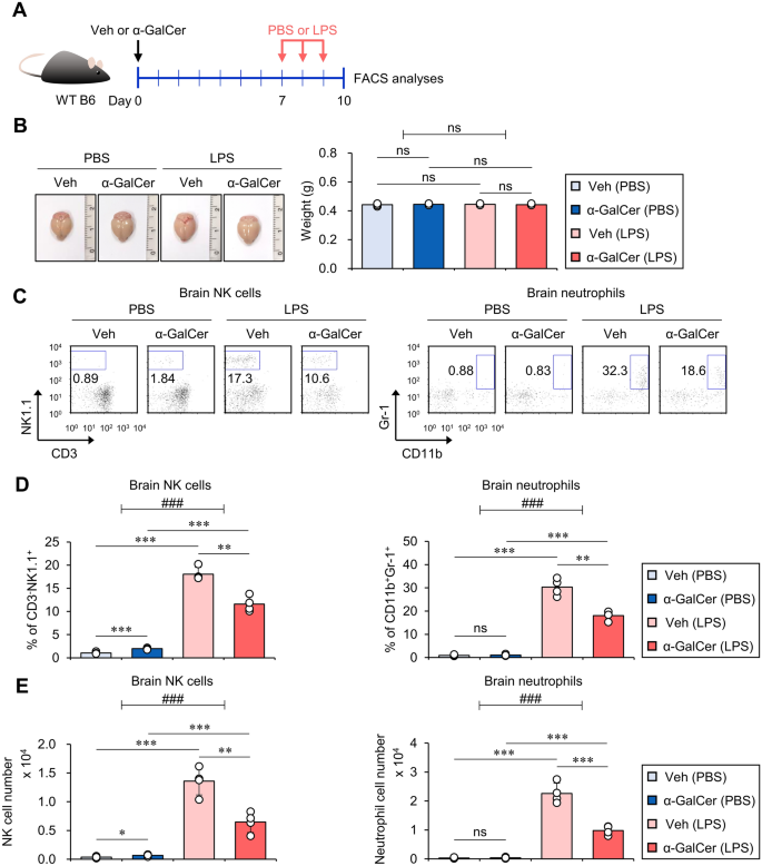 Alpha-galactosylceramide pre-treatment attenuates clinical symptoms of ...