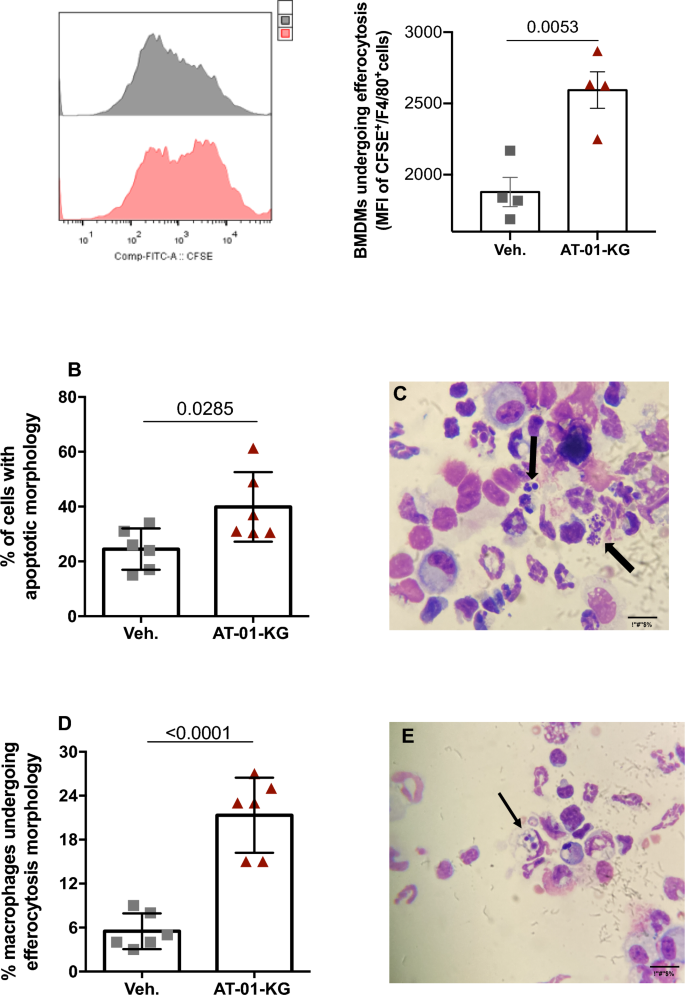Treatment with lipoxin A4 improves influenza A infection outcome ...